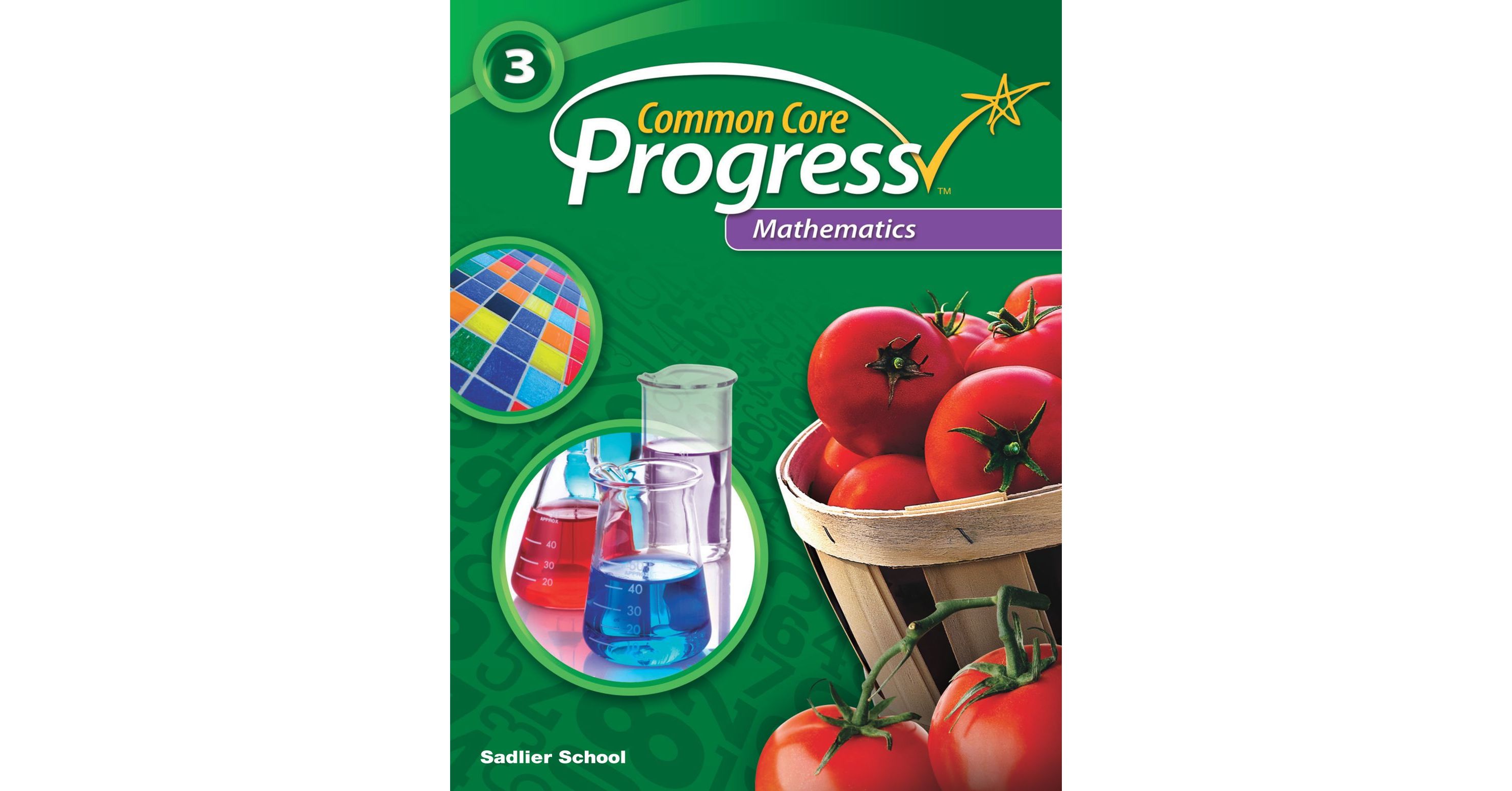 Common Core Progress Mathematics Gr 3 Student Edition Sampler