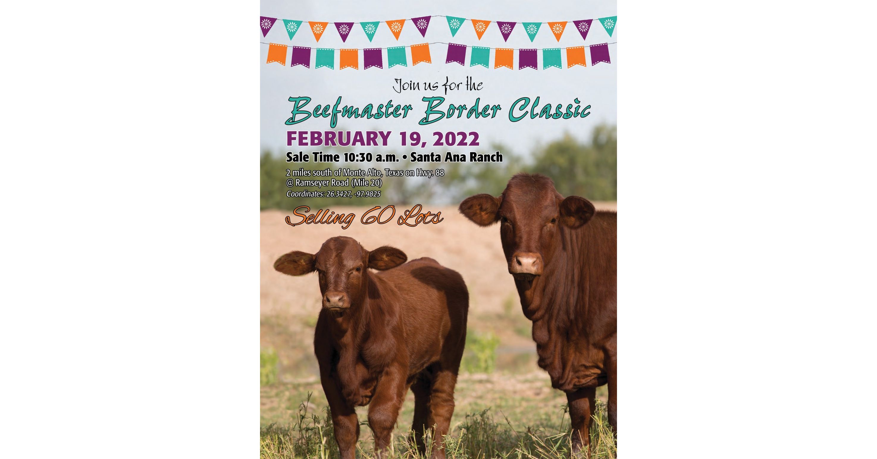 Beefmaster Border Classic 2022